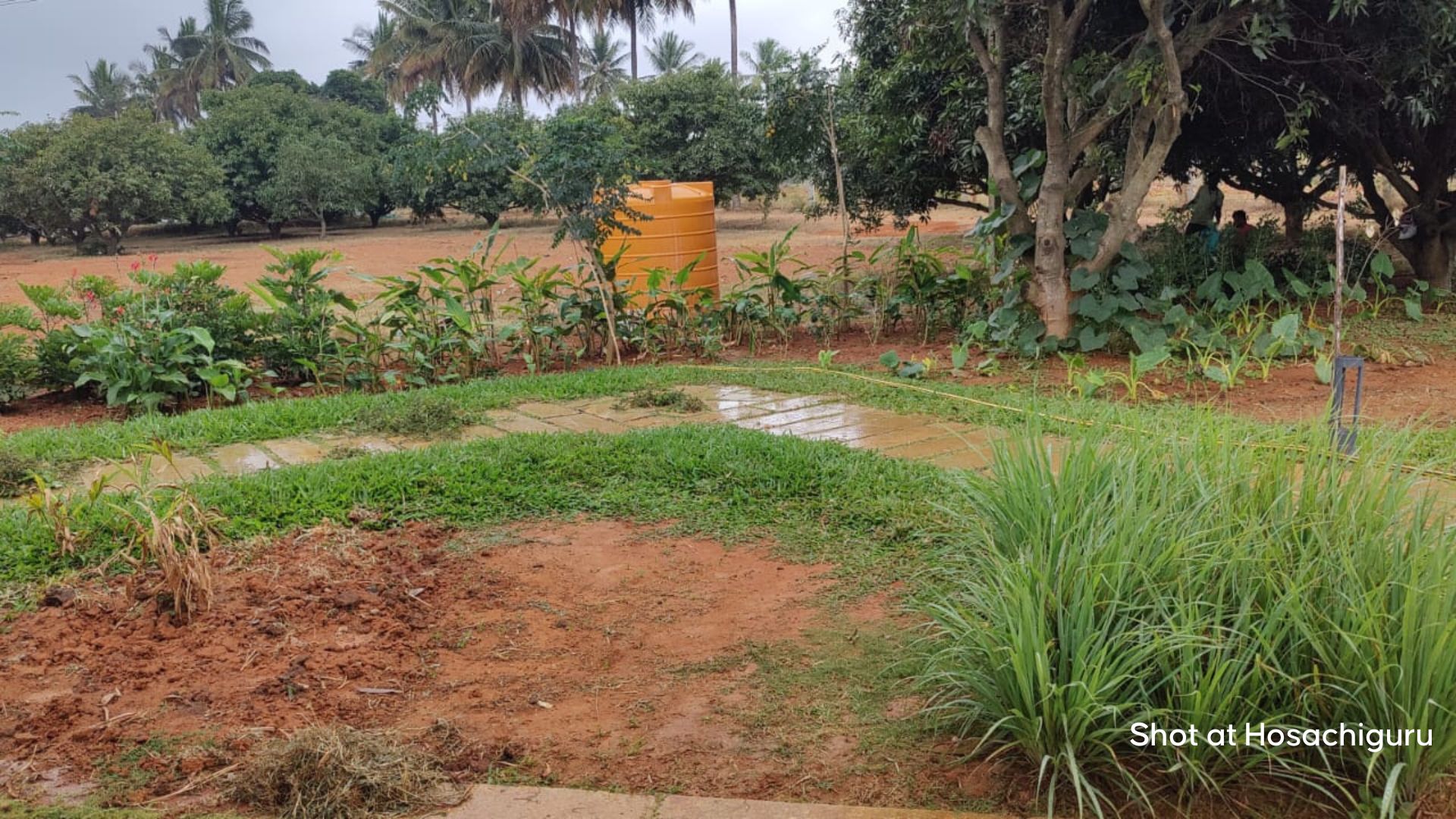 Aamrut Farms